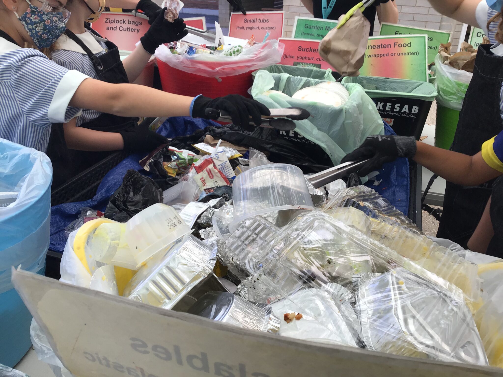 Let's Wipe Out Waste at St Peter's Woodlands - St Peter's Woodlands